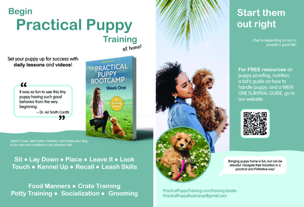 Downloadable Pamphlet – Practical Puppy Training